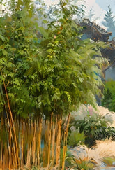 Cold Weather Bamboo – The Bamboo Seed