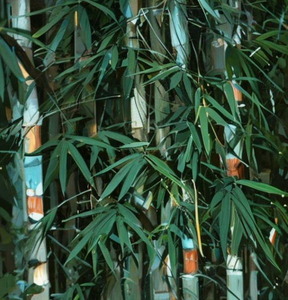 The Bamboo Seed - Growing stunning gardens one bamboo seed at a time.